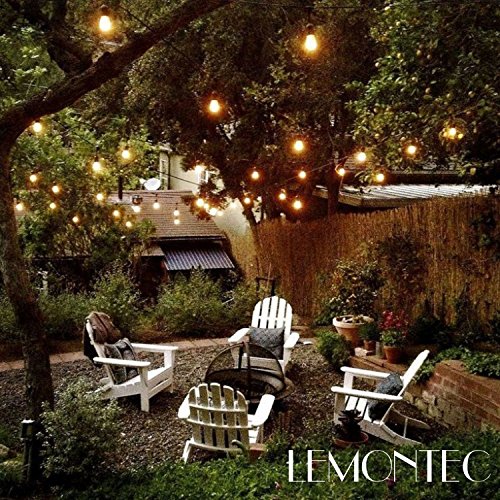 Lemontec Commercial Grade Outdoor String Lights with 15 Hanging Sockets - 48 Ft Black Weatherproof Cord Weatherproof Strand for Patio Garden Porch Backyard Party Deck Yard β S14 Black