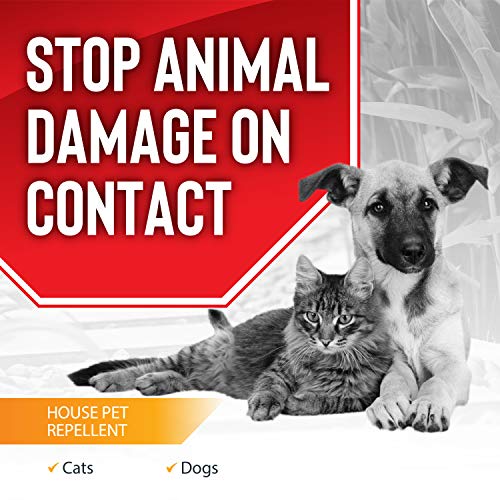 Messina Wildlife Dog & Cat Stopper - Effective, Food Grade Ingredients; Repels Dogs and Cats; Ready to Use, 32 fl. oz. Liquid Trigger Spray Bottle