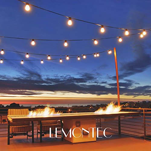 Lemontec Commercial Grade Outdoor String Lights with 15 Hanging Sockets - 48 Ft Black Weatherproof Cord Weatherproof Strand for Patio Garden Porch Backyard Party Deck Yard β S14 Black