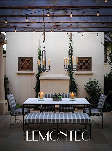 Lemontec Commercial Grade Outdoor String Lights with 15 Hanging Sockets - 48 Ft Black Weatherproof Cord Weatherproof Strand for Patio Garden Porch Backyard Party Deck Yard β S14 Black