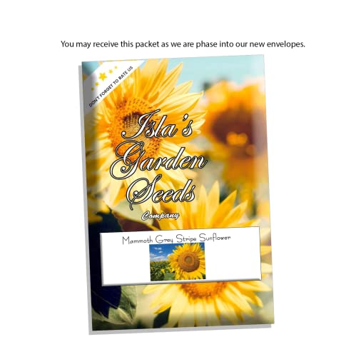 Mammoth Grey Stripe Sunflower Flower Seeds, 50+ Heirloom Seeds Per Packet, (Isla's Garden Seeds), Non GMO Seeds, Botanical Name: Helianthus annuus