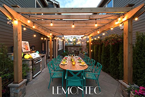 Lemontec Commercial Grade Outdoor String Lights with 15 Hanging Sockets - 48 Ft Black Weatherproof Cord Weatherproof Strand for Patio Garden Porch Backyard Party Deck Yard β S14 Black