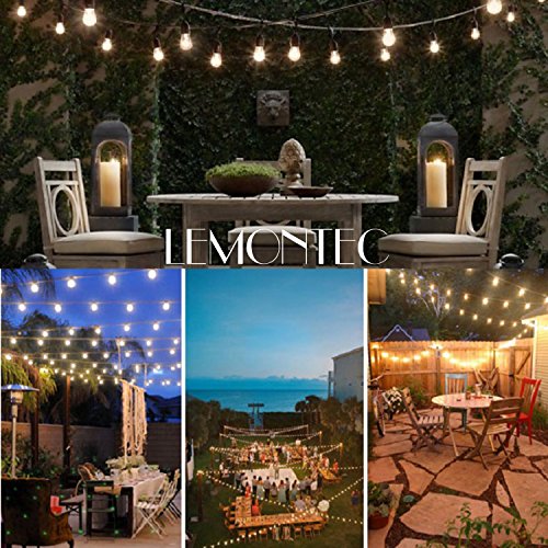 Lemontec Commercial Grade Outdoor String Lights with 15 Hanging Sockets - 48 Ft Black Weatherproof Cord Weatherproof Strand for Patio Garden Porch Backyard Party Deck Yard β S14 Black