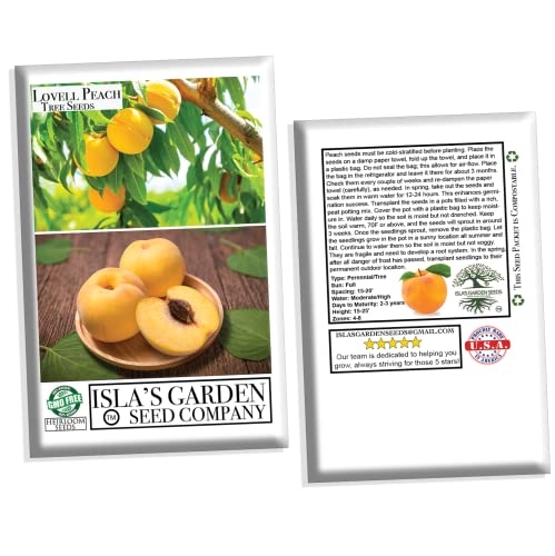 Lovell Peach Tree Seeds for Planting, (Prunus persica), 2 Heirloom Seeds Per Packet, (Isla's Garden Seeds), Non GMO Seeds, Great Home Garden Gift