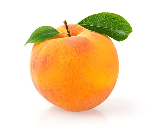 Lovell Peach Tree Seeds for Planting, (Prunus persica), 2 Heirloom Seeds Per Packet, (Isla's Garden Seeds), Non GMO Seeds, Great Home Garden Gift