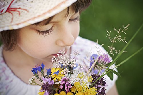 Fragrance Bouquet Flower Rocket Seed Disc - Concentrated Flower Planting Gardener Indoor Outdoor Kit - by Garden Innovations