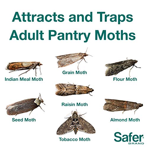 Safer Brand 05140 Pantry Moth Pest Trap and Killer for Grain, Flour, Meal and Seed Moths - 2 Traps