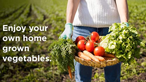 33 Variety Seed Bank Survival Gear 30,000 Premium Non-GMO Open Pollinated Heirloom Seeds Made in USA