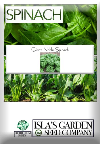 Giant Noble Spinach Seeds for Planting, 100+ Heirloom Seeds Per Packet, (Isla's Garden Seeds), Non GMO Seeds, Botanical Name: Spinacia oleracea, Great Home Garden Gift