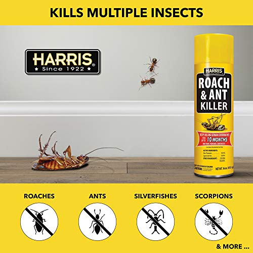 HARRIS 10-Month Roach and Ant Killer, 16oz Aerosol Spray