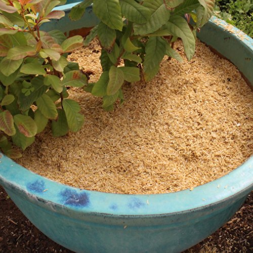 Rice Hulls - Organic Use - 5lb - House Plants β Gardening - Chicken Bedding Nesting