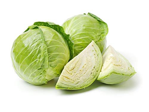 Late Flat Dutch Cabbage Seeds, 1000 Heirloom Seeds Per Packet, (Isla's Garden Seeds), Non GMO Seeds, Botanical Name: Brassica oleracea VAR. capitata