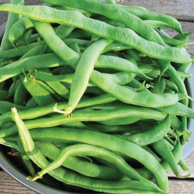 Kentucky Wonder Bush Bean Seeds for Planting, 30+ Heirloom Seeds Per Packet, (Isla's Garden Seeds), Non GMO Seeds, Botanical Name: Phaseolus vulgaris