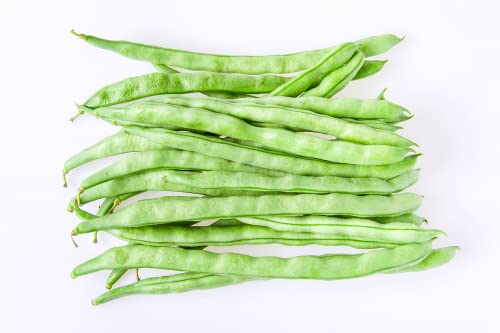 Kentucky Wonder Bush Bean Seeds for Planting, 30+ Heirloom Seeds Per Packet, (Isla's Garden Seeds), Non GMO Seeds, Botanical Name: Phaseolus vulgaris