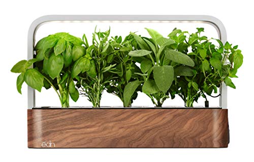edn SmallGarden with Basil SeedPods, Indoor Grow Smart Garden Starter Kit for Fresh Home Grown Herbs, Plants and Flowers