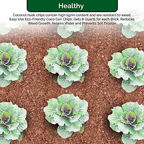 UBICON Easy Use Coco Coir Organic Top Soil; Each Brick Gets 7 Quarts, Excellent Aeration, Reduces Weed Growth, and Retains Water (4)