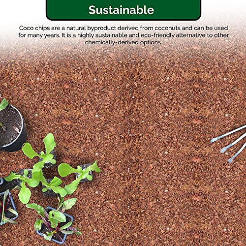 UBICON Easy Use Coco Coir Organic Top Soil; Each Brick Gets 7 Quarts, Excellent Aeration, Reduces Weed Growth, and Retains Water (4)