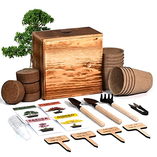 Bonsai Tree Kit, 4 Bonsai Tree Seeds with Complete Growing Kit & Wooden Planter Box, Indoor Bonsai Tree Starter Kit, Great Potted Plants Growing DIY Gift for Adults