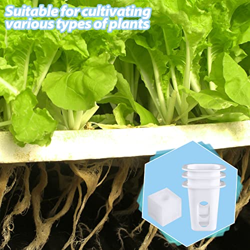 50 Sets of Hydroponic Garden Growing System Accessories Includes 50 Planting Baskets 50 Plant Growth Sponges Compatible with Most Hydroponic Garden Planting Systems