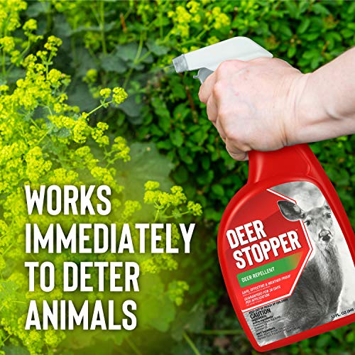 Deer Stopper Repellent - Safe & Effective, All Natural Food Grade Ingredients; Repels Deer Elk, and Moose; Ready to Use, 32 oz. Trigger Spray Bottle
