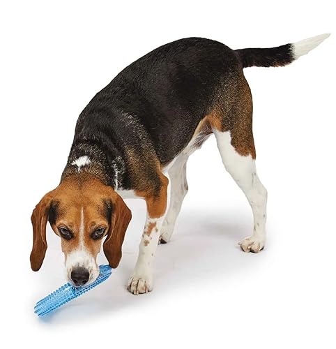 MPP Dog Toy Treat Hiding Ring Toss Fetch Chew Gum Massaging Nub Ridges Dental Health (Blue 4 Rings)