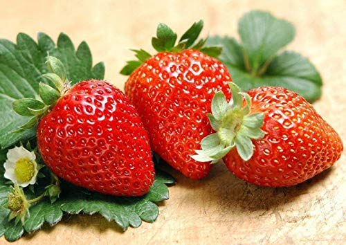 200pcs Giant Strawberry Seeds, Sweet Red Strawberry Garden Strawberry Fruit Seeds, for Garden Planting