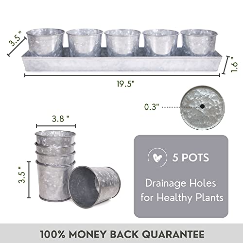 SCANDINORDICA Galvanized Herb Planter β 5 Herb Pots with Drainage Holes and Tray, Windowsill Planter, Indoor Herb Garden Planter Outdoor, Herb Pots for Indoor Plants | Windowsill Herb Garden