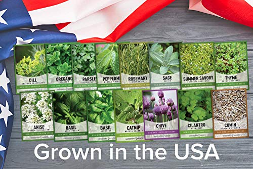 15 Herb Seeds For Planting Varieties Heirloom Non-GMO 5200+ Seeds Indoors, Hydroponics, Outdoors - Basil, Catnip, Chive, Cilantro, Oregano, Parsley, Peppermint, Rosemary and More By Gardeners Basics