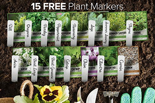 15 Herb Seeds For Planting Varieties Heirloom Non-GMO 5200+ Seeds Indoors, Hydroponics, Outdoors - Basil, Catnip, Chive, Cilantro, Oregano, Parsley, Peppermint, Rosemary and More By Gardeners Basics