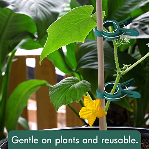 Gardzen 48 Pcs Garden Plant Clips, Plant Support Clips for Securing Plant Stems, Flowers or Climbing Vines to Tomato Cages, Trellis and Plant Support