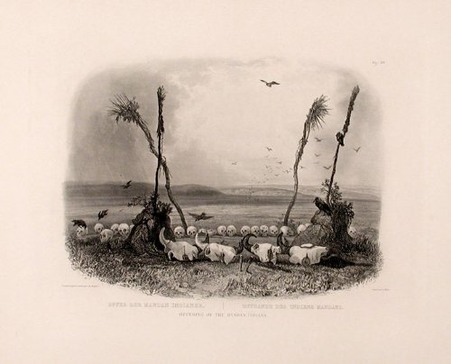 Offering of the Mandan Indians