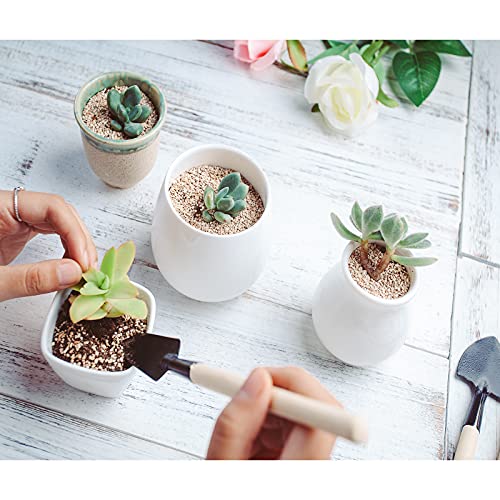 Andiker Mini Gardening Tools, 3pcs Portable Garden Hand Tools Set, Miniature Gardening Rake Trowel and Shovel for Seedlings, Bonsai, Succulents, Herbs, Terrariums and Planting (3pcs)