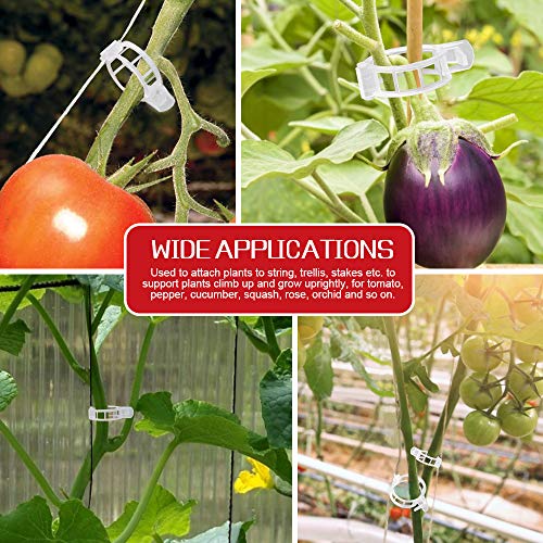 Fandamei 300 PCS Plastic Garden Plant Support Clips, Tomato Clips, Plant Ties, Trellis Clips, for Tomato Cucumber Flower Squash Vine, 1โ Inner Diameter
