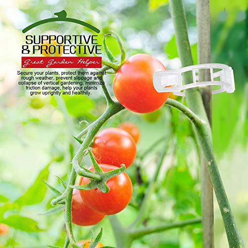 Fandamei 300 PCS Plastic Garden Plant Support Clips, Tomato Clips, Plant Ties, Trellis Clips, for Tomato Cucumber Flower Squash Vine, 1โ Inner Diameter