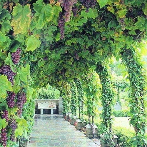 Adorox 7.5 Ft Metal Arch (Two Way Assemble) for Wedding Garden Bridal Party Decoration Arbor (Green)