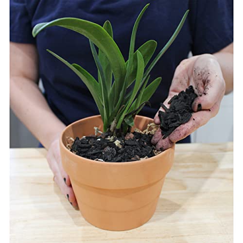 Horticultural Charcoal for Indoor Plants (4 Quarts), Hardwood Soil Amendment for Orchids, Terrariums, and Gardening