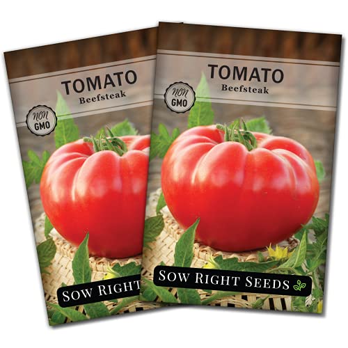 Sow Right Seeds - Beefsteak Tomato Seeds for Planting - Non-GMO Heirloom - Instructions to Plant a Home Vegetable Garden - Wonderful Gardening Gift (2)