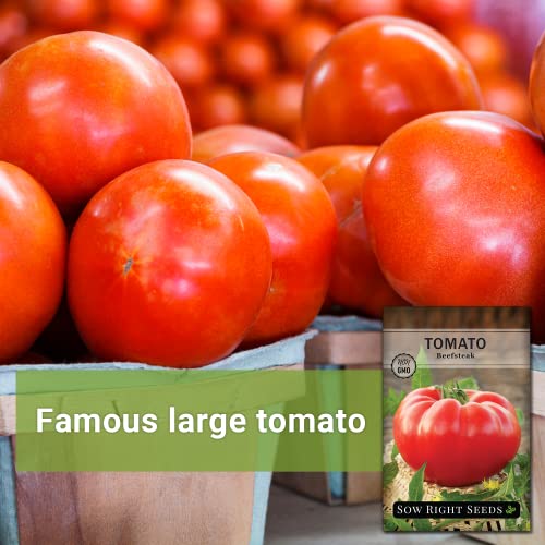 Sow Right Seeds - Beefsteak Tomato Seeds for Planting - Non-GMO Heirloom - Instructions to Plant a Home Vegetable Garden - Wonderful Gardening Gift (2)