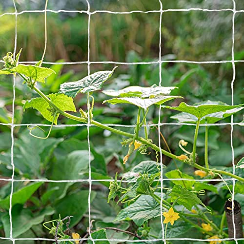 Tcamp Heavy-Duty Polyester Plant Trellis Netting 5 x 15ft (1 Pack) (5 Ft X 15 Ft)
