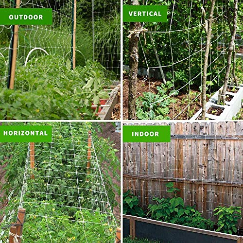 Tcamp Heavy-Duty Polyester Plant Trellis Netting 5 x 15ft (1 Pack) (5 Ft X 15 Ft)