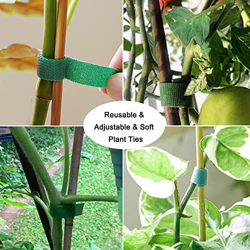 Yowlieu 20 Pcs Natural Bamboo Stakes + 1 Roll Garden Ties, 18 Inches Bamboo Sticks Gardening Plant Support Stakes for Indoor Plants, Tomato, Potted Plants