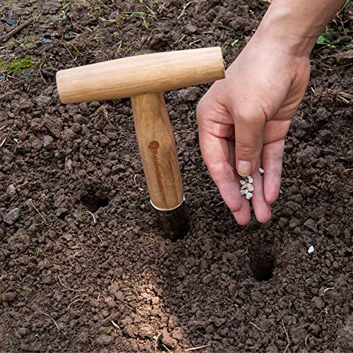 RainboWiner Garden Hand Dibber with Measurements, Bulb Planter Tool - 11 Inch Wooden Handle Stainless Steel Handheld Gardening Dibbler for Garlic Tulip Daffodil Vegetable Seed Planting