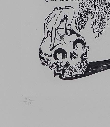 La Vida es Sueno Viellart Tete de Mort