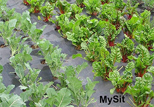 IME Garden Staples U Shaped Ground Anchors Stakes Pegs Pins Spikes for Securing Lawn Farm Sod Barrier Landscape Grass Fabric Netting, More Applications 15CM