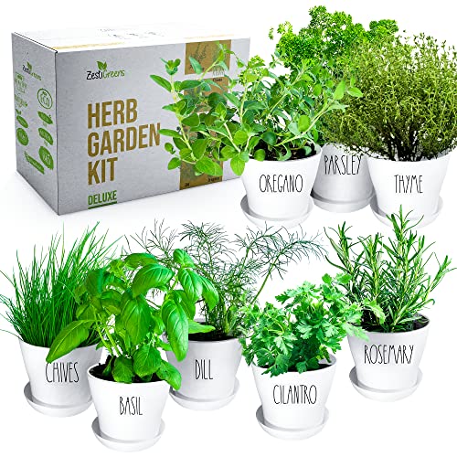Deluxe Herb Garden Kit – 8 Variety Herbs for Indoor & Outdoor – Get Growing w/Pots, Potting Soil, and Detailed Gardening Guide for Window Herb Garden - DIY Gardening Kit Gift for Women & Men