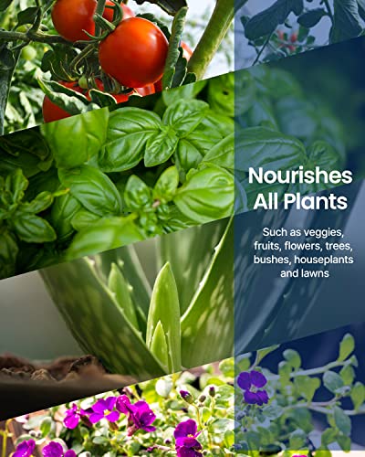 iDOO Plant Food 70 oz (2 Liter), All-Purpose Water Soluble A & B Nutrients, Liquid Concentrated Hydro Garden Fertilizer for Hydroponics System, Indoor Potted House Plants, Flowers, Vegetable