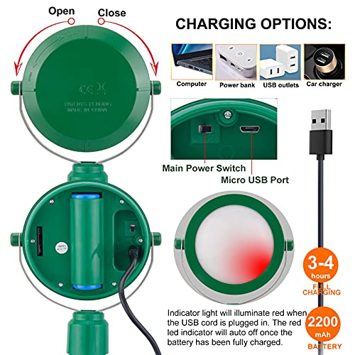 BIGMONAT Landscape Light USB Rechargeable, Color Changing Tree Spotlight Outdoor, RGB Garden Plant Lighting with Remote, Waterproof Ground Light for Patio Yard Pathway