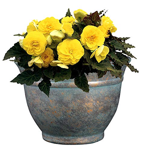 Classic Home & Garden 10509D 377R 9" Alena Planter, Weathered Copper
