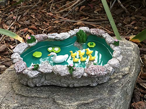 GlitZGlam Duck Pond -Mother and Ducklings! A Miniature Duck Pond for a Miniature Fairy Garden and Miniature Garden Accessories