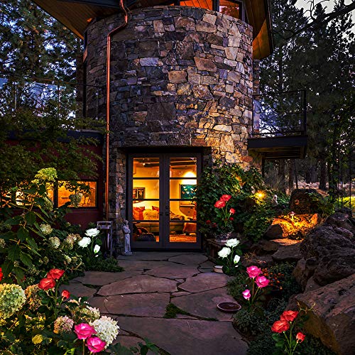 Anordsem Solar Outdoor Lights - 2 Pack Garden Decor Lights Waterproof Solar Garden Lights Red Rose Light for Garden, Patio, Yard, Flowerbed,Pathway Decor